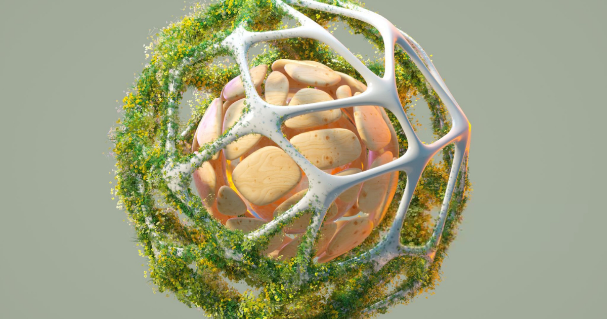 Emergenetics: The Thinking Test in Vietnam for Singapore Companies ...